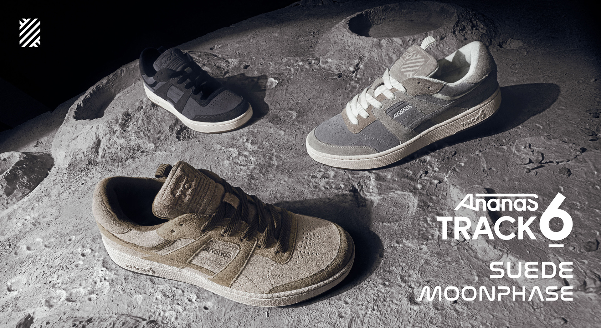 Ananas – DiscoverYOU