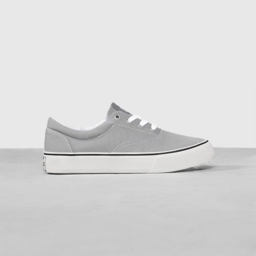 Ananas – DiscoverYOU